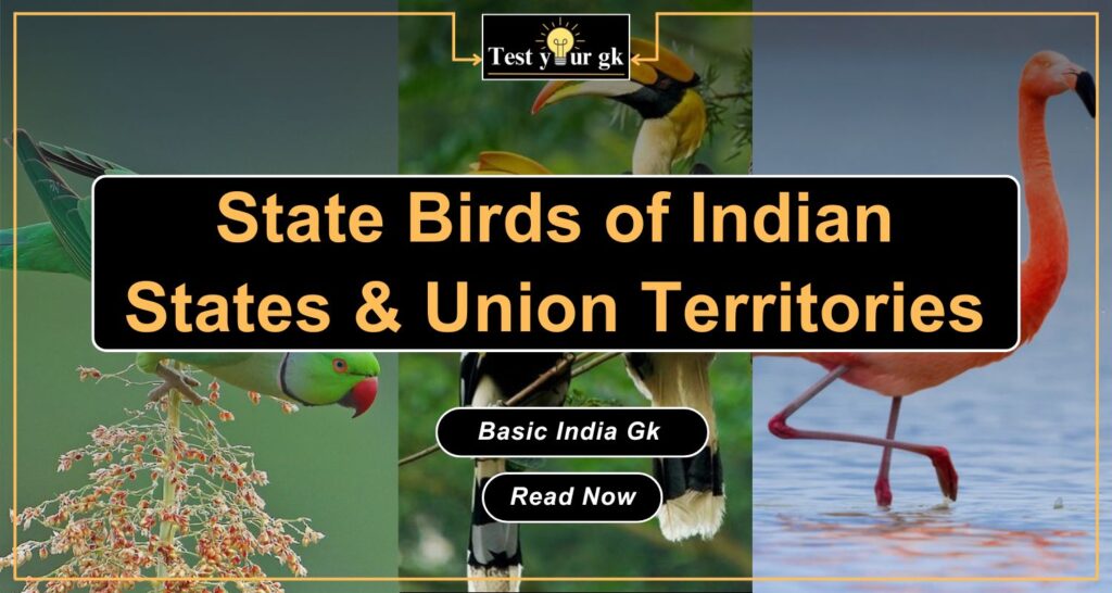 State Birds of Indian States and Union Territories with Scientific ...