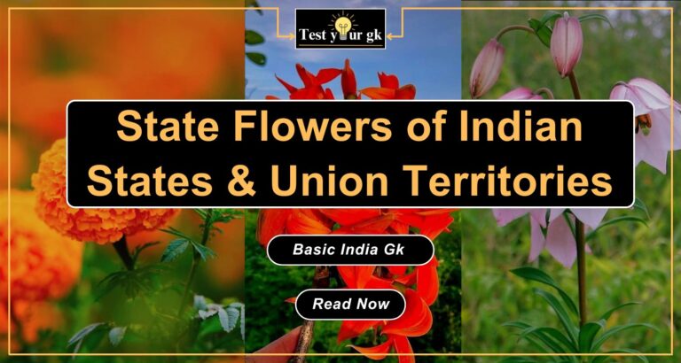 Complete List of State Flowers of Indian States and Union Territories ...